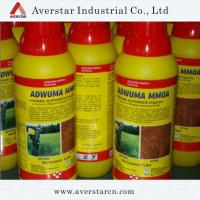 China Eco Friendly Averstar Glyphosate 480G/L IPA SL Herbicide for Weed Management for sale