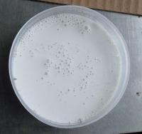 China 98.5% Purity Pymetrozine Tech WDG SC for Sustainable Agriculture EINECS No. 602-927-1 for sale
