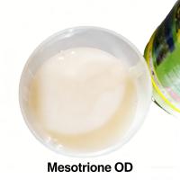 China Mesotrione ++ OD for sale
