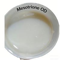 China Mesotrione ++ OD for sale