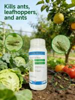 China Fipronil 50 SC Cockroach termite killer star for sale