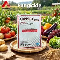 China Copper Oxychloride 40% WP + Metalaxyl-M 5% WP  for Cucumber, Tomato, Potato, Grape and Citrus for sale