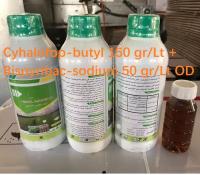 China Efficient and low toxicity herbicide use Quizalofop-p-ethyl EC SC OD 95% Tech for sale