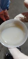 China Corn field professional herbicide Nicosulfuron 40 OD for sale