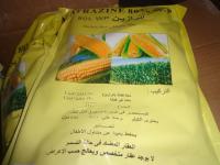 China Efficient herbi cide for corn fields Nicosulfuron 20 gr/Lt + Mestotrione 40 gr/Lt + Atrazine 202 gr/Lt （302 gr/Lt OD） for sale
