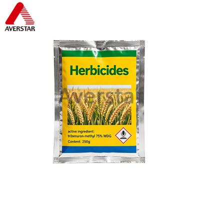China Wheat Herbicides Tribenuron Methyl 75% WDG High Efficiency for sale