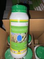 China 2,4-D Herbicide for Wheat & Corn Field Weed Control for sale