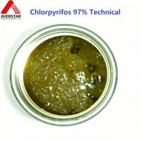 China Insecti cide Chlorpyrifos 480 EC 25% WP 97% Tech Chlorpyrifos + Cypermethrin Double the insecti cidal effect for sale