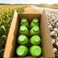 China Herbicide Triflo xysulfuron OD in Cotton for sale