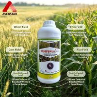 China Agricultural Herbicide 2 4 D DMA Salt Classic Synthetic Auxin Herbicide for Broadleaf Weed Control in Cereals Sugarcane and Pastures for sale