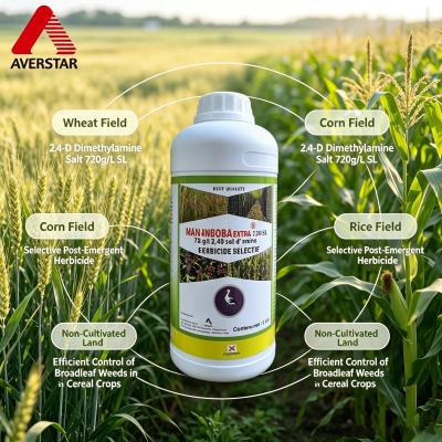 China Agricultural Herbicide 2 4 D DMA Salt Classic Synthetic Auxin Herbicide for Broadleaf Weed Control in Cereals Sugarcane and Pastures for sale
