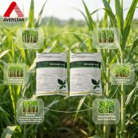 China Trifloxysulfuron-sodium + Ametryn 75% WDG Sugarcane Herbicide for Broadleaf Sedge Grass Weed Control with Factory Direct Wholesale and OEM Custom Options for sale