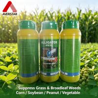 China Pendimethalin 330g/L EC Pre-Emergence Herbicide for Weed Control in Soybean Peanut Cotton Fields Factory Direct Wholesale for sale
