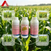 China Nicosulfuron 40g/L OD Selective Maize Herbicide Sulfonylurea Weed Control Agrochemical Manufacturer Wholesale OEM Private Label for sale