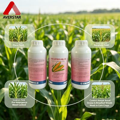 China Nicosulfuron 40g/L OD Selective Maize Herbicide Sulfonylurea Weed Control Agrochemical Manufacturer Wholesale OEM Private Label for sale