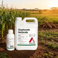 China Glyphosate 480g/L SL Herbicide Non-selective Systemic Weed Killer for Total Weed Control for sale