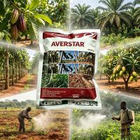 China Glyphosate 720g/kg SG Herbicide Soluble Granule for Broad Spectrum Weed Control Systemic Post Emergence for sale