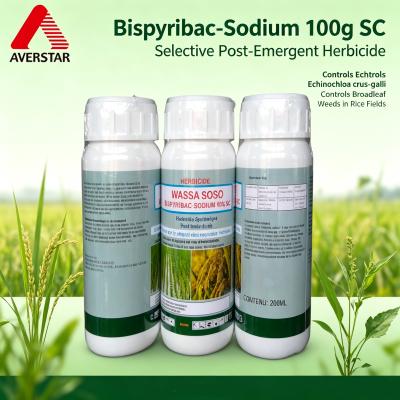 China Rice Herbicide for Grass and Broadleaf Plant Control | Bispyribac-sodium 100g/L SC Selective Crop Protection for sale