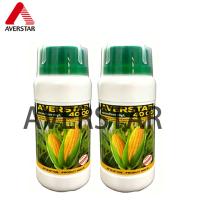 China Selective Corn Field Herbicide Nicosulfuron 40g/L for Maize Crop Protection Agricultural Field Management and Farm Use for sale