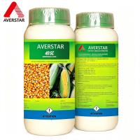 China Selective Corn Field Herbicide Nicosulfuron 40g/L for Maize Crop Protection Agricultural Field Management and Farm Use for sale