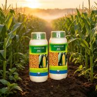 China Selective Corn Field Herbicide Nicosulfuron 40g/L for Maize Crop Protection Agricultural Field Management and Farm Use for sale