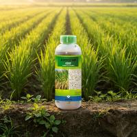 China Selective Rice Field Herbicide Propanil 360g/L Triclopyr 72g/L EC for Broad Spectrum Agricultural Crop Protection for sale