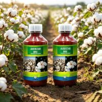 China Pre-Emergence Grass Broadleaf Control Herbicide Prometryn 250g/L S-Metolachlor 250g/L OEM Private Label Pesticide Factory for sale