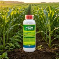 China Post-Emergence Broadleaf Control Herbicide 2,4-D Amine Salt 720g/L SL OEM Private Label Agricultural Pesticide Factory Supply for sale