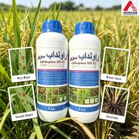 China Edifenphos 30% EC A broad-spectrum organic phosphorus fun gicide with systemic absorption, as well as protective and therapeutic effects for sale