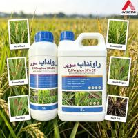 China Edifenphos 30% EC A broad-spectrum organic phosphorus fun gicide with systemic absorption, as well as protective and therapeutic effects for sale