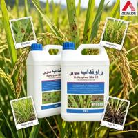 China Edifenphos 30% EC A broad-spectrum organic phosphorus fun gicide with systemic absorption, as well as protective and therapeutic effects for sale