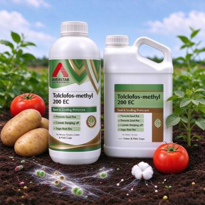 China Tolclofos-methyl 20% EC is a Broad-spectrum systemic organophosphorus fun gicid, primarily used for controlling soil-borne diseases, with a focus on preventive and protective effects for sale