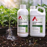 China Tolclofos-methyl 20% EC is a Broad-spectrum systemic organophosphorus fun gicid, primarily used for controlling soil-borne diseases, with a focus on preventive and protective effects for sale
