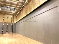 China Customizable Event Partition Panel with Class A Fire Resistance and Aluminum Alloy Frame for Commercial Spaces for sale