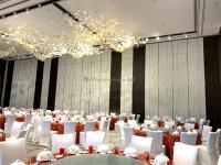 China 80mm Thick Noise Reducing Doorfold Partition Wall - Class A Fireproof & Soundproof Movable System for sale