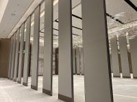 China 85mm & 100mm Thickness Aluminum Alloy Decorative Partition Wall - Custom Design for Offices & Hotels for sale