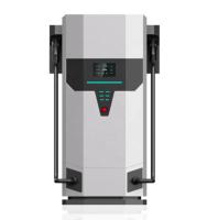 China Electric Vehicle Smart Life 120KW CCS1  Fast DC EV Charger Station for Tesla for sale