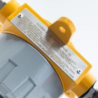 China Low Alarm 25%Lel Hydrogen Sulfide Monitor With 1.8kg Weight Fixed Output for sale