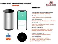 China Radon Monitor RN-PRO 200 Portable Gas Detector For Home Safety Customization for sale