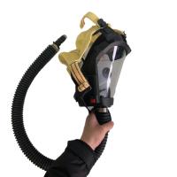 China Factory Price Papr Powered Air Purifying Respirator with Hood for sale