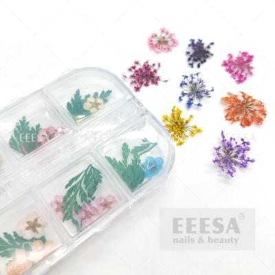 China 12 Colors 3D Nail Art Decorations 3D Dry Flower Leaf Real Dried Flower Natural Floral Stickers for sale