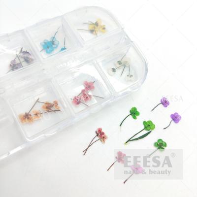 China 12 Colors 40PCS 3D Real Dry Flower Dried Flowers Nail Art Decorations For UV Gel for sale