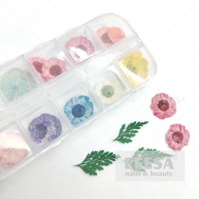 China 12 Colors 26PCS Pack Beautiful 3D Dry Flowers Dry Leaves For Gel Nail Art Mixed Colors for sale
