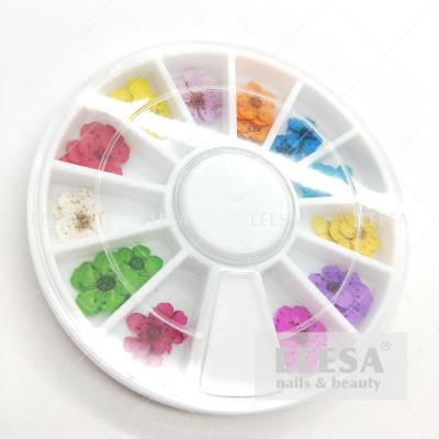 China 12 Color Dried Flower For Nail Art Decorations Natural Nail Dry Flowers Wheel DIY for sale