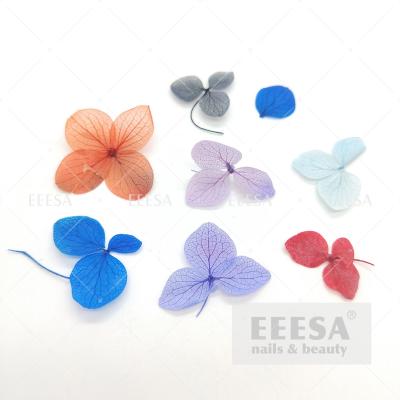 China Mixed Color Dry Flower Hydrangea Macrophylla Ortensia DIY Nail Art Decorations for sale