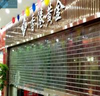 China Commercial Use 3000mm Height 16mm Tube Transparent Roller Door for sale