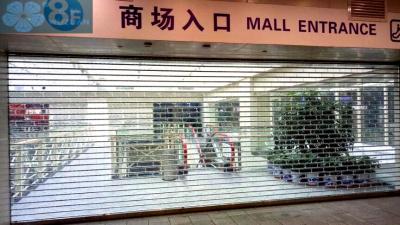 China 12mm Tube Polycarbonate Clear Roller Shutters For Mall for sale