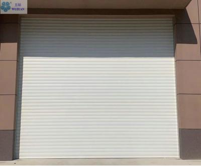 China High Quality Aluminum Roller Shutter Door and Window with Somfy Tubular Motor for sale