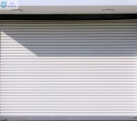 China High Quality Aluminum Roller Shutter Door and Window with Somfy Tubular Motor for sale