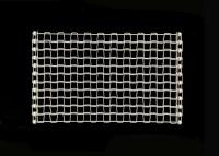 China Mesh 1